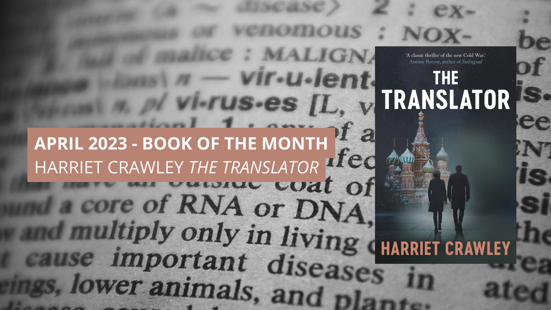 Harriet Crawley - The Translator | Harrogate International Festivals